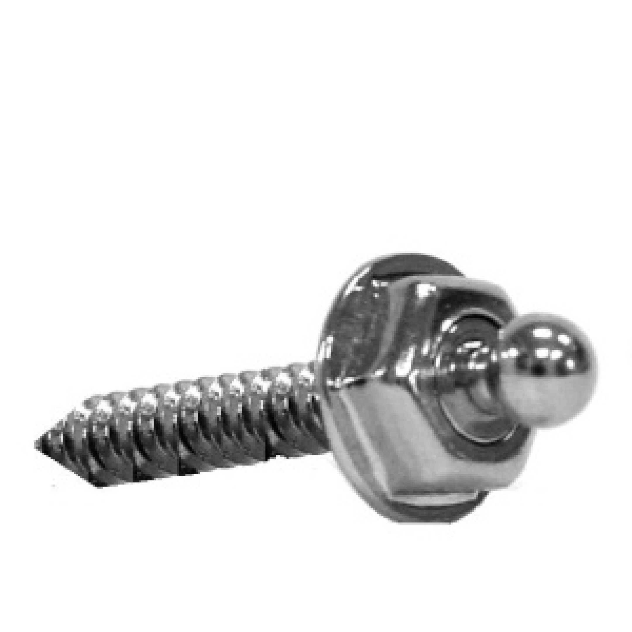 TENAX screw button (10.441.00) | Nautica Illiano